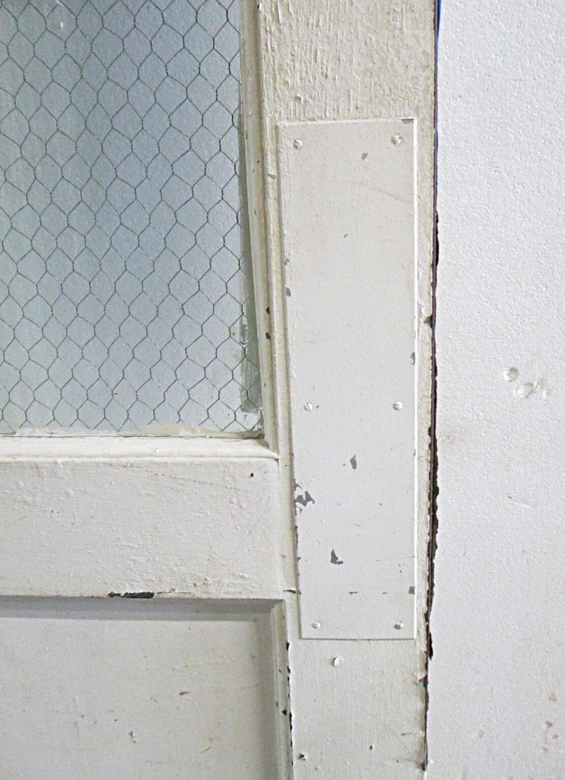 2 Chicken Wire Glass Pane 1 Panel Metal Door | Olde Good Things