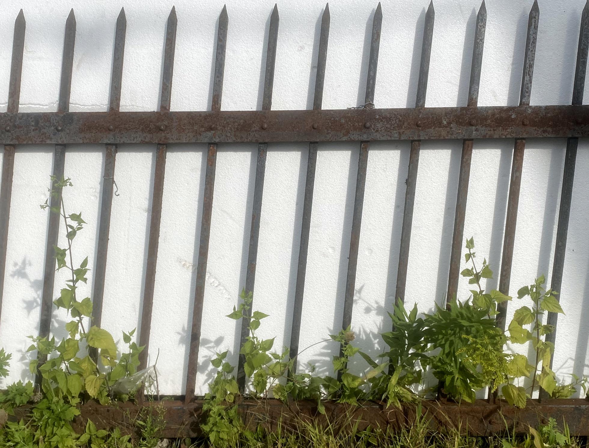 1900s 4 ft. H Riveted Wrought Iron Fence Lot | Olde Good Things